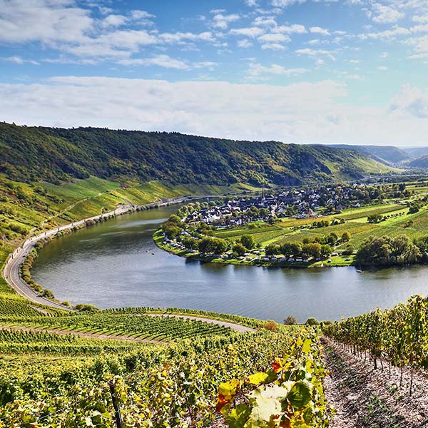Mosel Flusskreuzfahrten günstig buchen bei Lidl Reisen Mosel Flusskreuzfahrten günstig buchen bei Lidl Reisen
